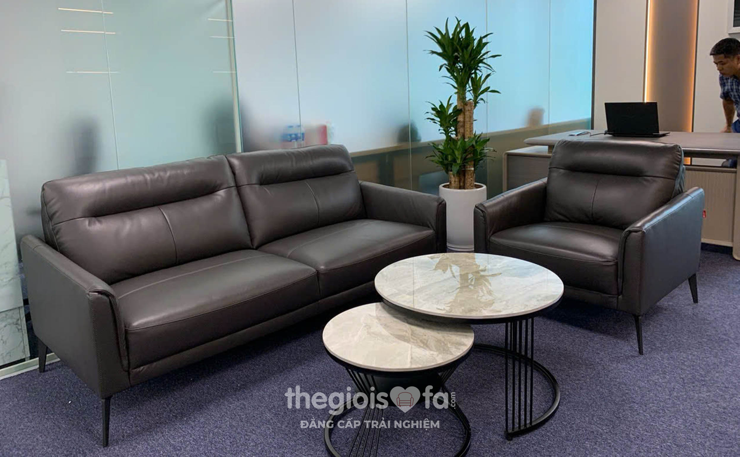- thegioisofa.com