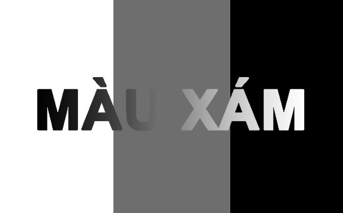 Ý nghĩa màu xám? Khám phá tính cách của người yêu thích màu xám ...